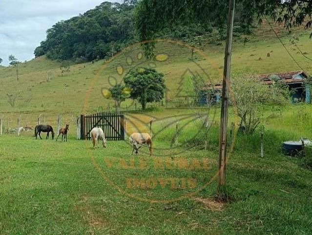 Sítio / Chácara para Venda em Taubaté/SP Centro