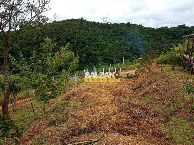Sítio / Chácara para Venda em Taubaté/SP Jardim Julieta 1 Quartos