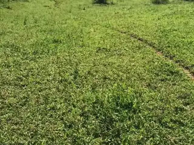 Sítio / Chácara para Venda em Taubaté/SP Registro