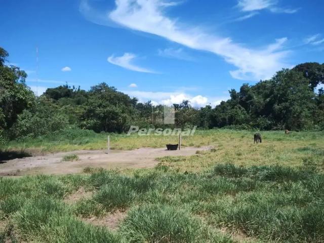 Sítio / Chácara para Venda em Taubaté/SP Vila Areao