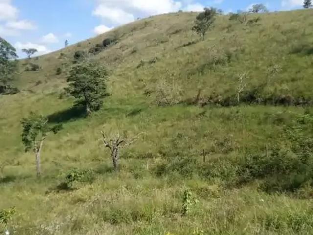 Sítio / Chácara para Venda em Taubaté/SP Zona Rural 1 Quartos