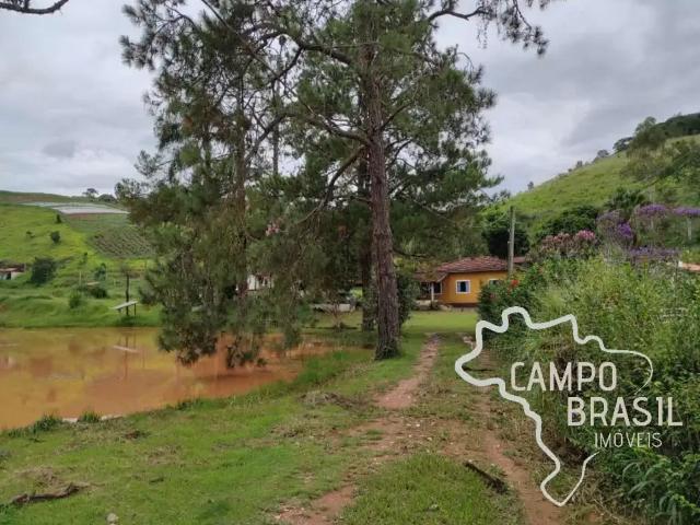 Sítio / Chácara para Venda em Taubaté/SP Zona Rural