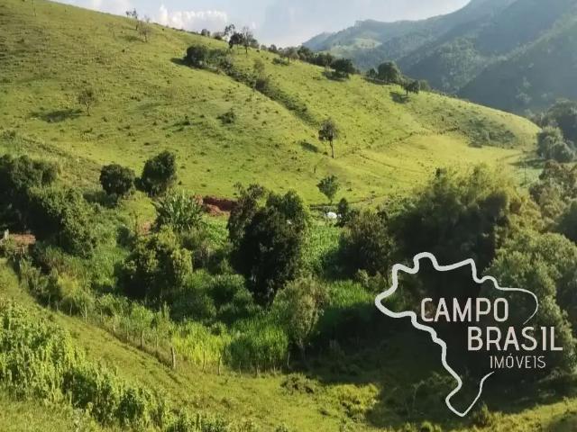 Sítio / Chácara para Venda em Taubaté/SP Zona Rural