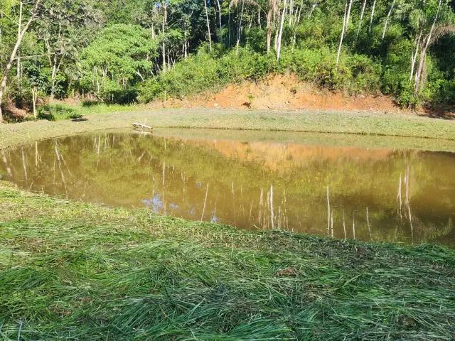Sítio / Chácara para Venda em Taubaté/SP Zona Rural