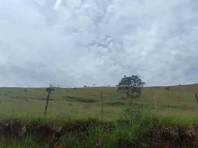 Sítio / Chácara para Venda em Taubaté/SP Zona Rural