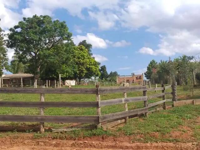 Sítio / Chácara para Venda em Taciba/SP Zona Rural 2 Quartos
