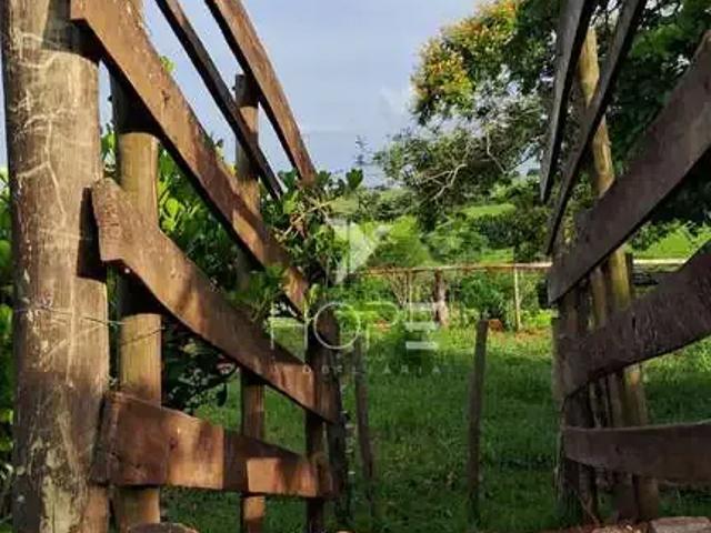 Sítio / Chácara para Venda em Taciba/SP Zona Rural 3 Quartos
