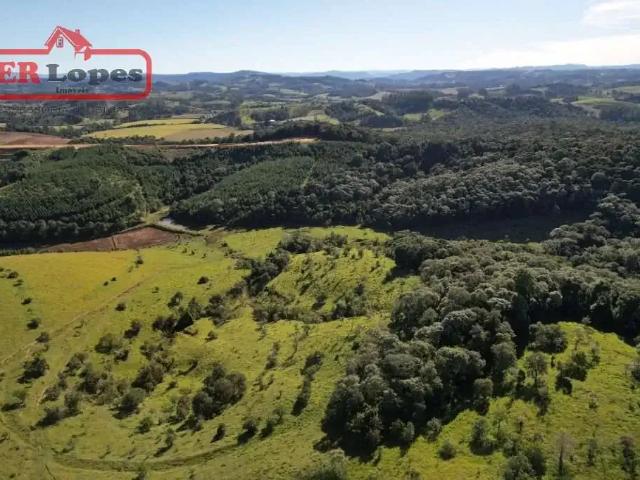 Sítio / Chácara para Venda em Taió/SC Centro 2 Quartos