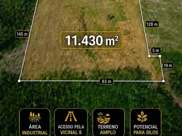 Sítio / Chácara para Venda em Tailândia/PA Zona Rural