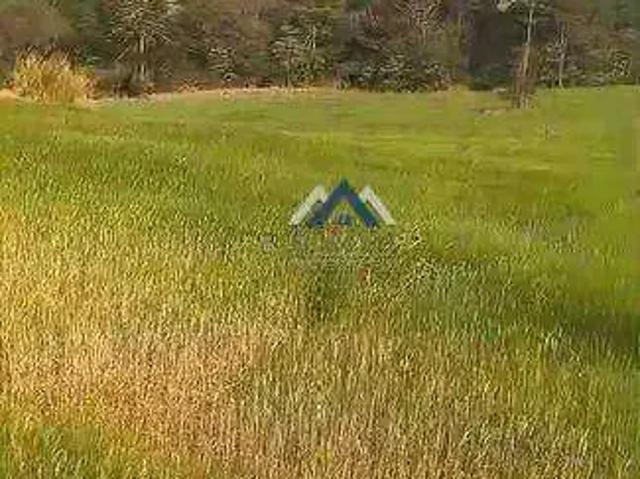 Sítio / Chácara para Venda em Tamarana/PR Zona Rural 3 Quartos