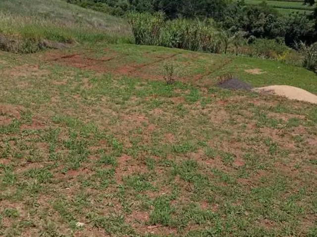 Sítio / Chácara para Venda em Tamarana/PR Zona Rural