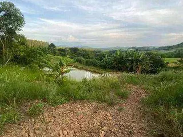 Sítio / Chácara para Venda em Tamarana/PR Zona Rural