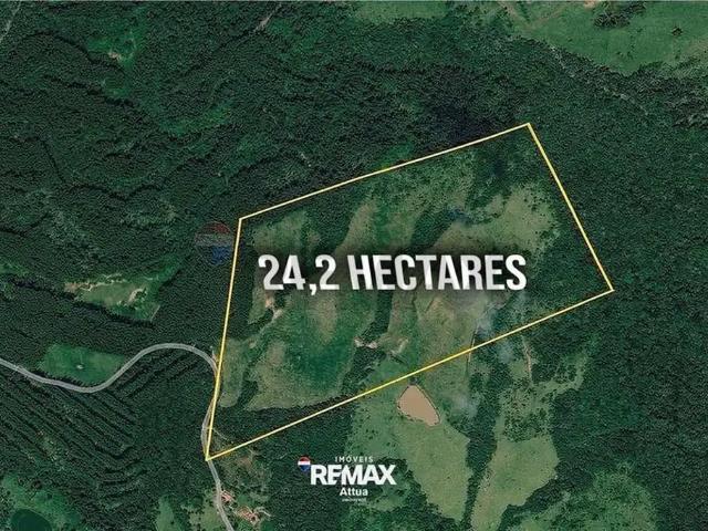 Sítio / Chácara para Venda em Tamarana/PR Apucaraninha