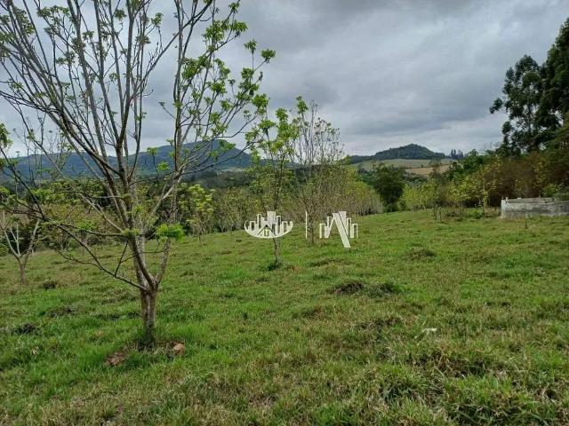 Sítio / Chácara para Venda em Tamarana/PR Centro 3 Quartos
