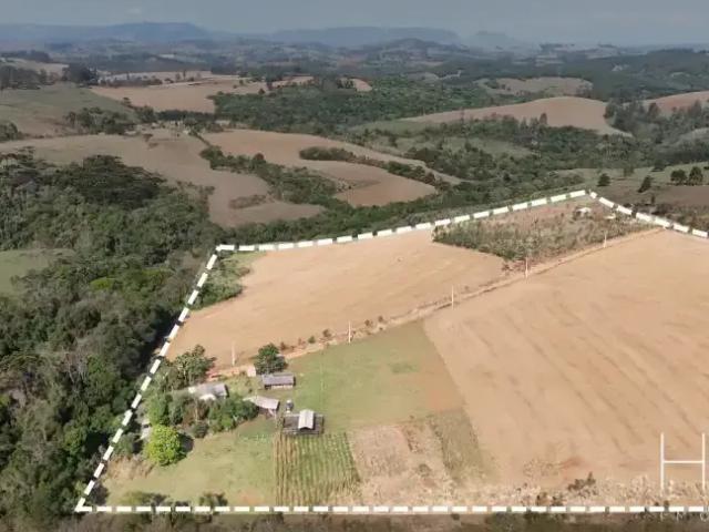 Sítio / Chácara para Venda em Tamarana/PR Centro