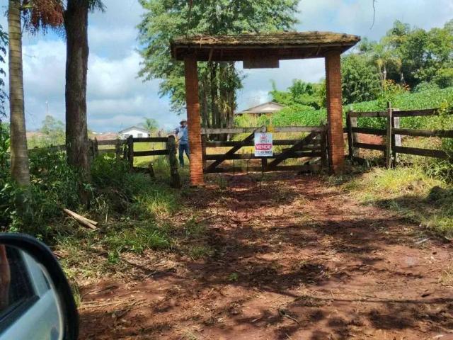 Sítio / Chácara para Venda em Tamarana/PR Centro 7 Quartos