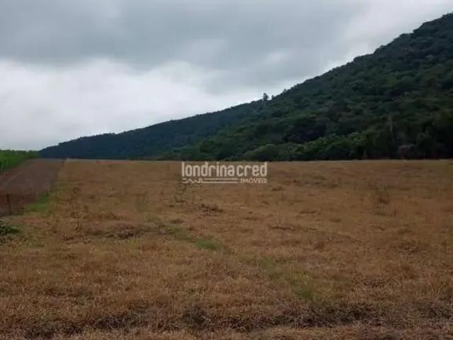 Sítio / Chácara para Venda em Tamarana/PR Gleba 01 2 Quartos