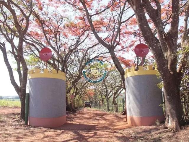 Sítio / Chácara para Venda em Tambaú/SP Centro 4 Quartos