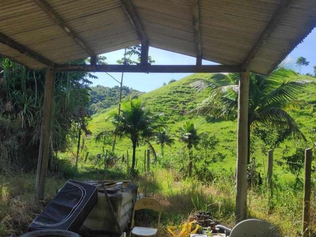 Sítio / Chácara para Venda em Tanguá/RJ Zona Rural