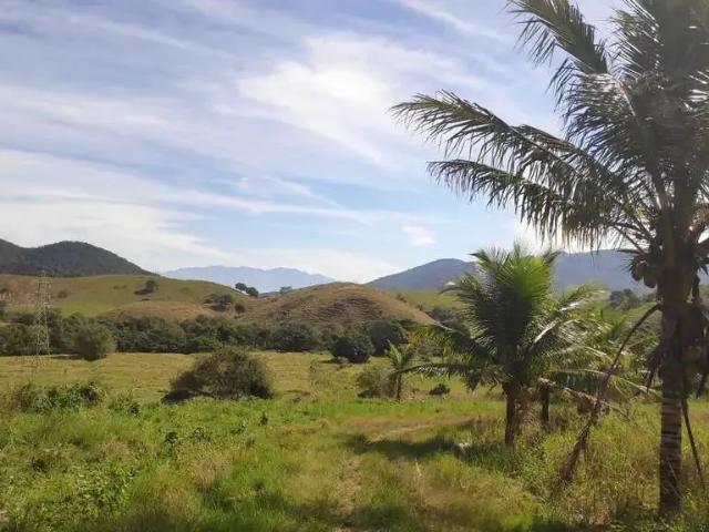 Sítio / Chácara para Venda em Tanguá/RJ Zona Rural