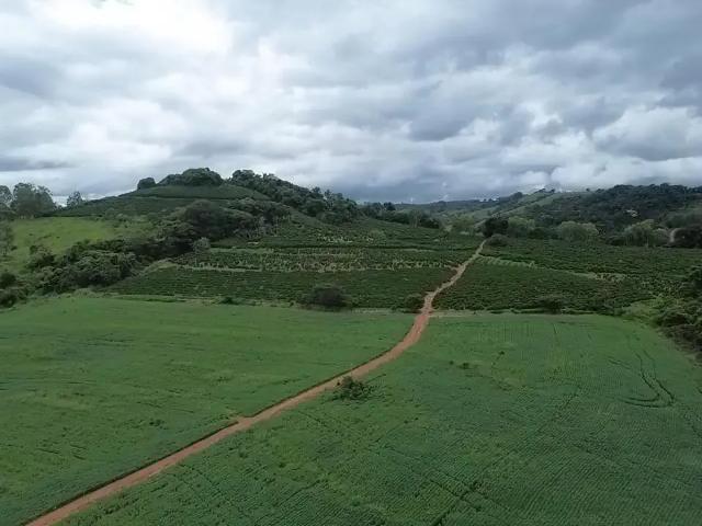 Sítio / Chácara para Venda em Tapiratiba/SP Zona Rural 3 Quartos