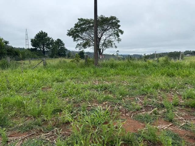 Sítio / Chácara para Venda em Taquara/RS Morro do Leôncio