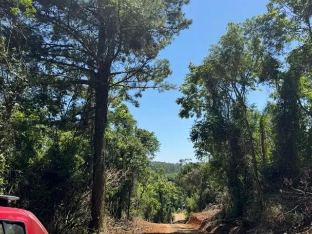 Sítio / Chácara para Venda em Taquara/RS Fazenda Fialho