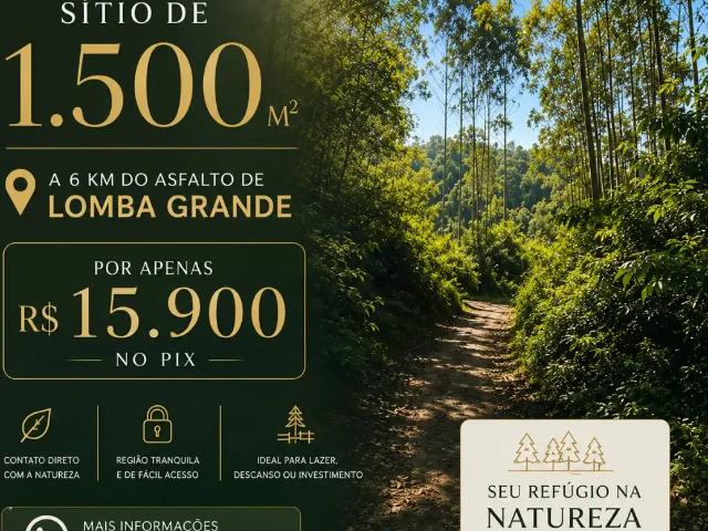 Sítio / Chácara para Venda em Taquara/RS Fazenda Fialho