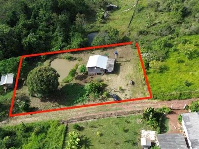 Sítio / Chácara para Venda em Taquara/RS Fazenda Fialho