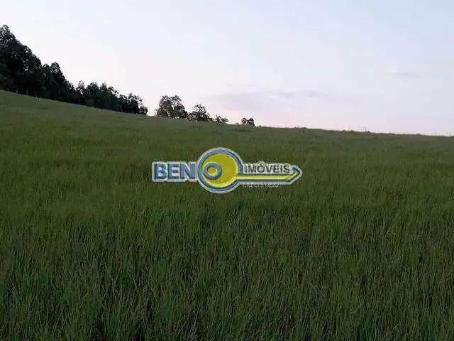 Sítio / Chácara para Venda em Taquara/RS Fazenda Fialho