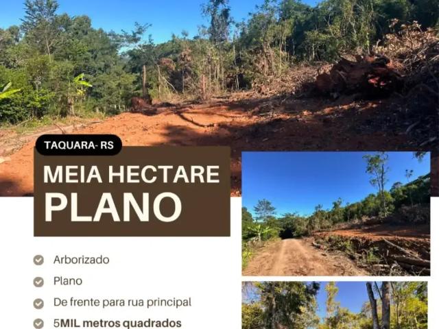 Sítio / Chácara para Venda em Taquara/RS Pega Fogo Distrito