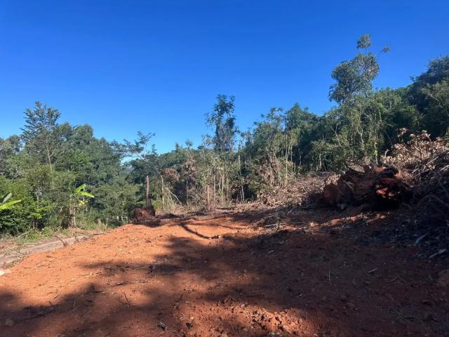 Sítio / Chácara para Venda em Taquara/RS Pega Fogo Distrito