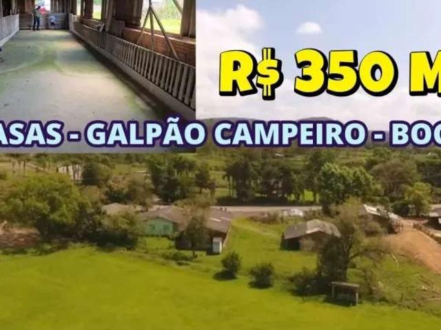 Sítio / Chácara para Venda em Taquara/RS Rio da Ilha Distrito 4 Quartos