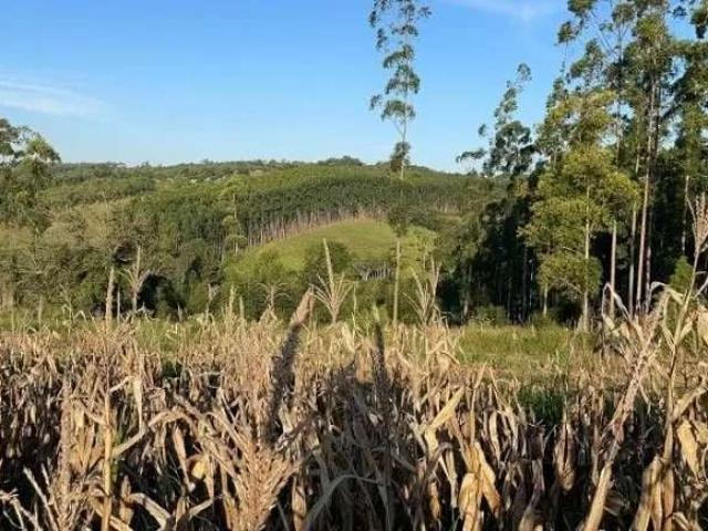 Sítio / Chácara para Venda em Taquara/RS Zona Rural 2 Quartos