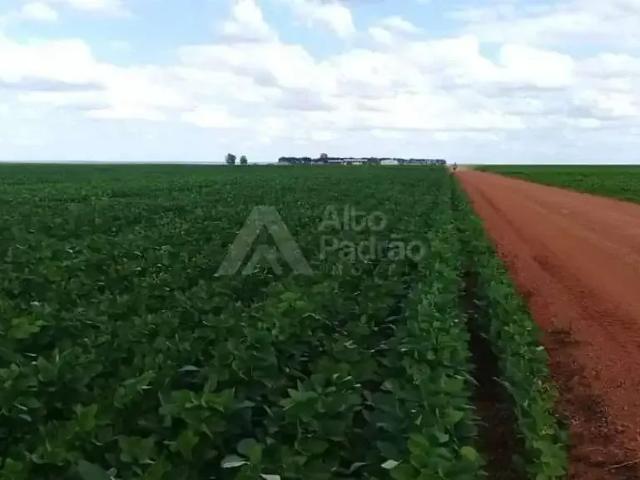 Sítio / Chácara para Venda em Teresina/PI Área Rural de Teresina