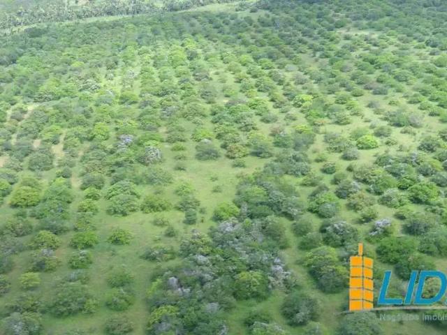 Sítio / Chácara para Venda em Teresina/PI Área Rural de Teresina