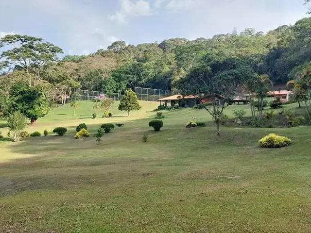 Sítio / Chácara para Venda em Teresópolis/RJ Fazenda Suiça 3 Quartos