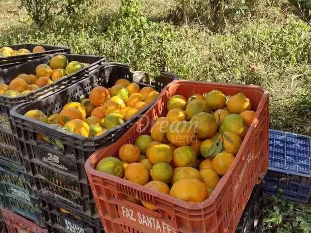 Sítio / Chácara para Venda em Teresópolis/RJ Granja Mafra 1 Quartos