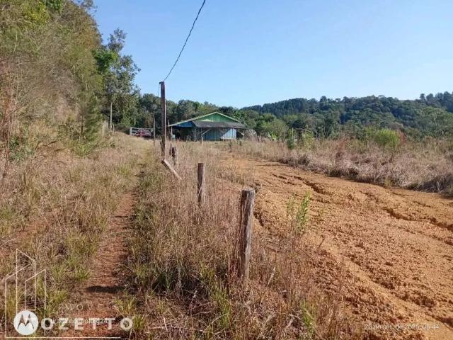 Sítio / Chácara para Venda em Tibagi/PR Alto do Amparo