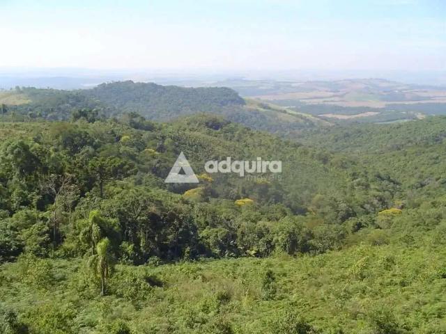 Sítio / Chácara para Venda em Tibagi/PR Zona Rural