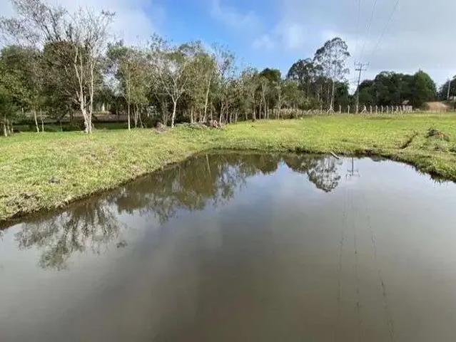 Sítio / Chácara para Venda em Tijucas do Sul/PR Tabatinga