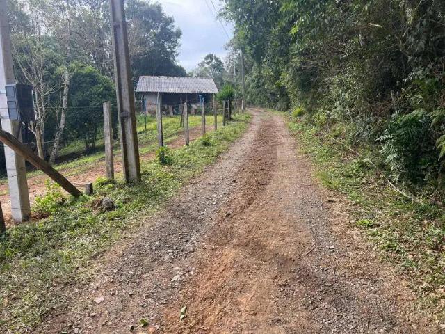 Sítio / Chácara para Venda em Tijucas do Sul/PR Tabatinga
