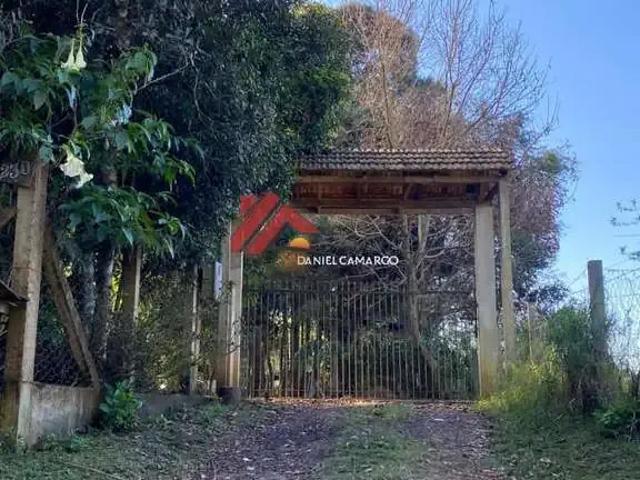 Sítio / Chácara para Venda em Tijucas do Sul/PR Tabatinga