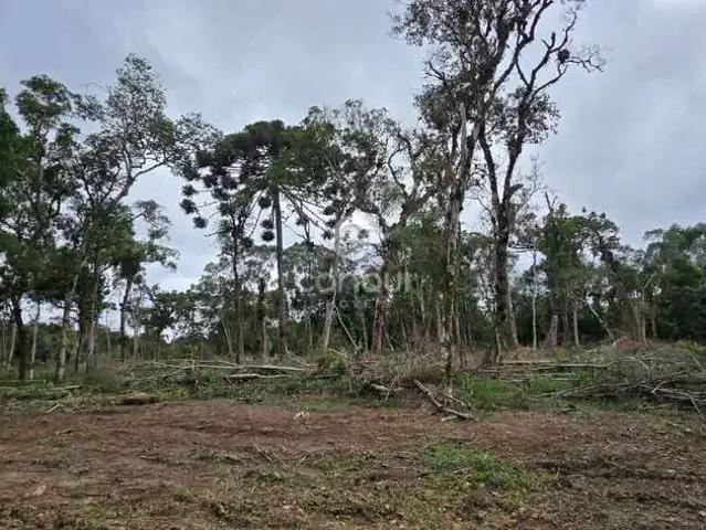 Sítio / Chácara para Venda em Tijucas do Sul/PR Zona Rural 1 Quartos