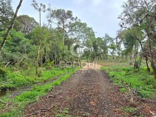 Sítio / Chácara para Venda em Tijucas do Sul/PR Zona Rural 1 Quartos