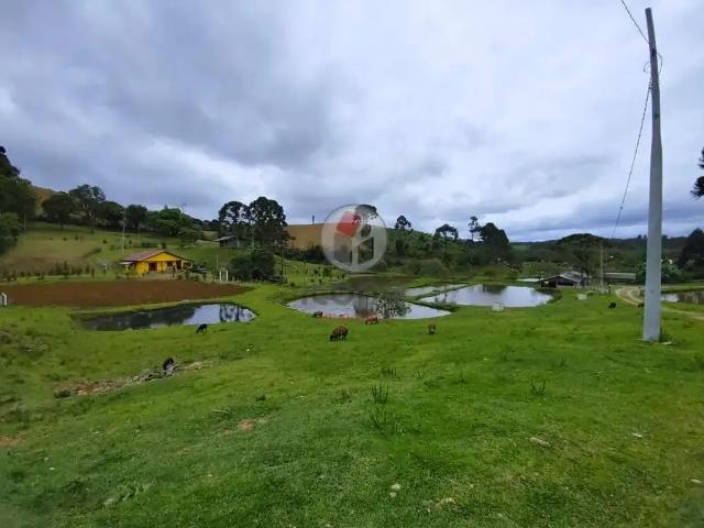 Sítio / Chácara para Venda em Tijucas do Sul/PR Zona Rural 1 Quartos