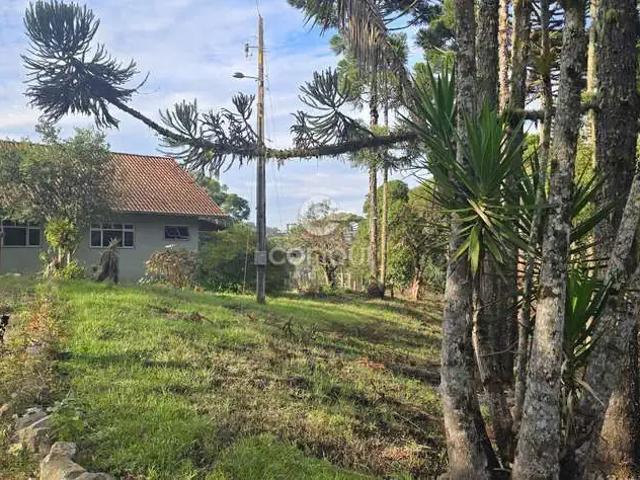 Sítio / Chácara para Venda em Tijucas do Sul/PR Campo Alto 3 Quartos