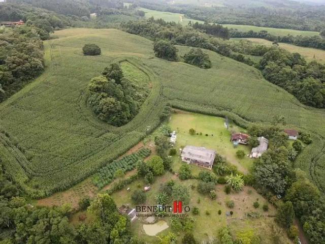 Sítio / Chácara para Venda em Tijucas do Sul/PR Zona Rural 3 Quartos