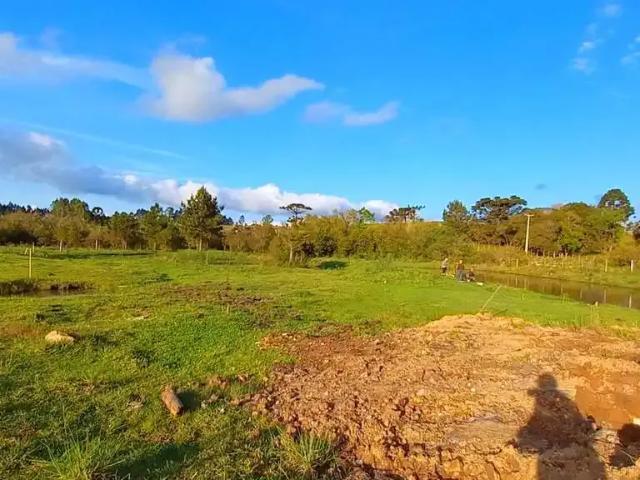 Sítio / Chácara para Venda em Tijucas do Sul/PR Ambrósios