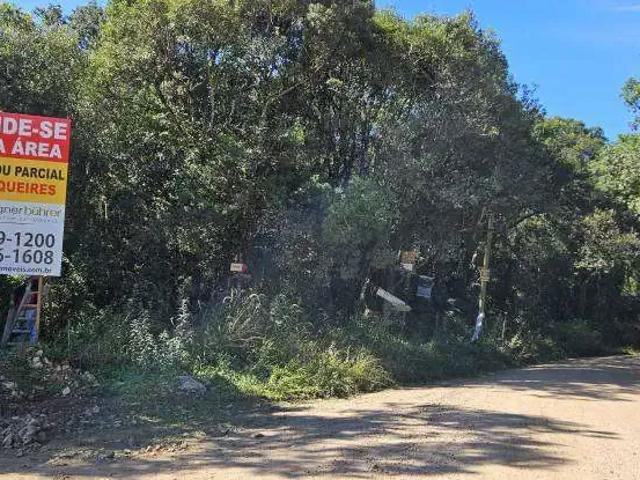 Sítio / Chácara para Venda em Tijucas do Sul/PR Ambrósios